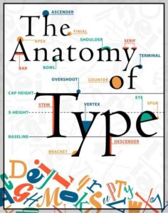 Understanding the Anatomy of Typography: A Designer’s Guide - Pari Pixel
